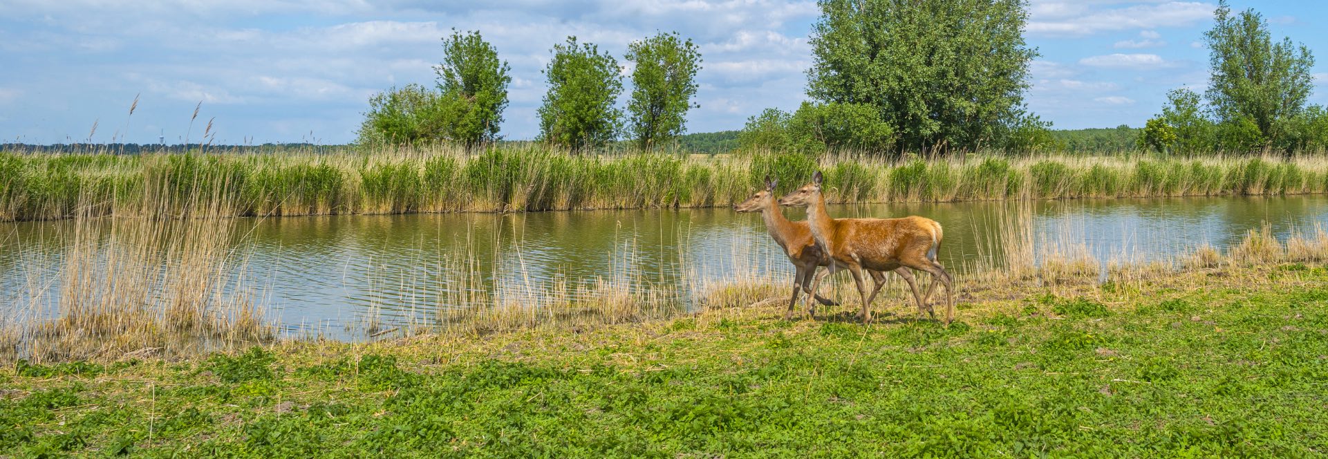 Over Uddel | Uddel Natuurlijk