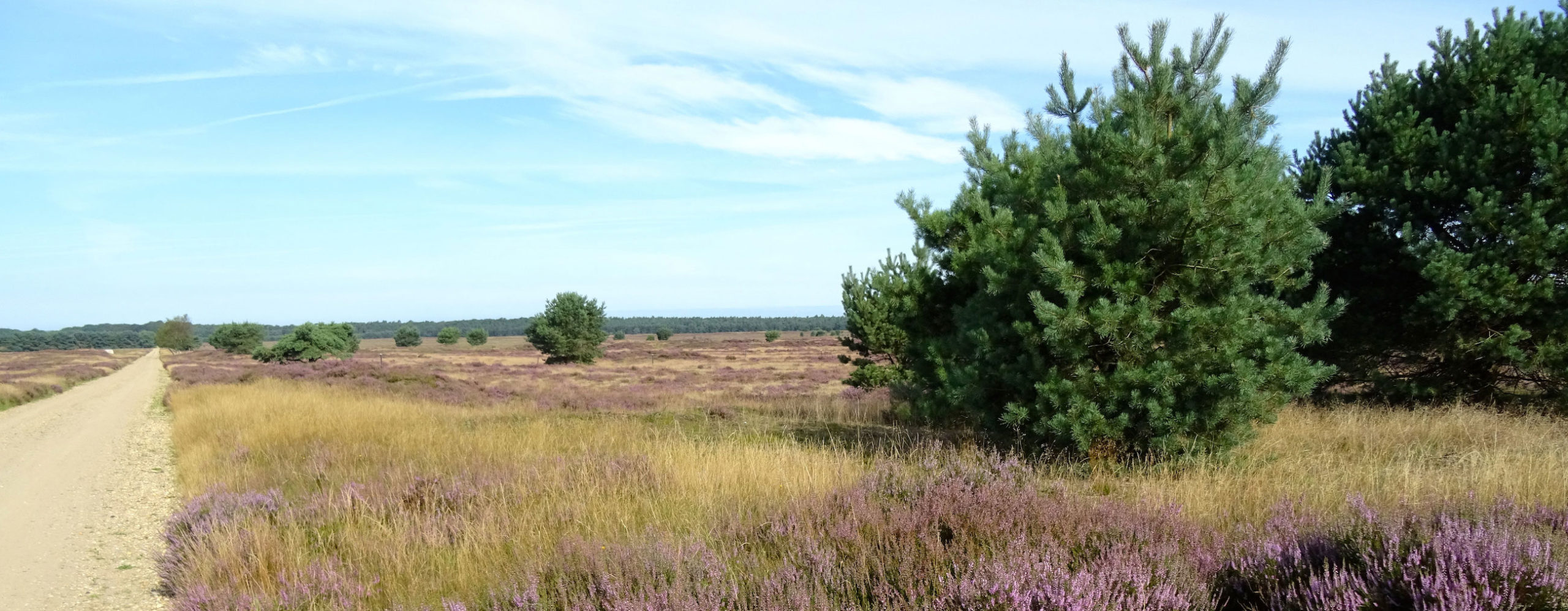 Instanties in Uddel | Uddel Natuurlijk