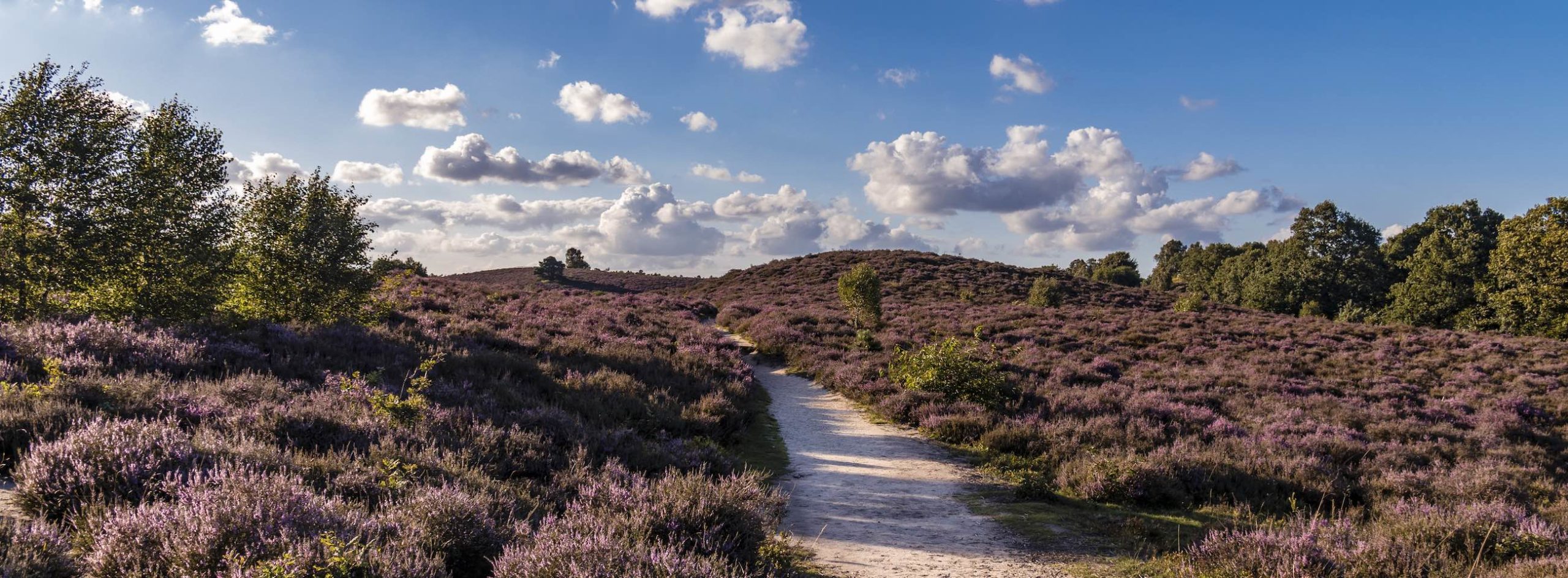 Bedrijven in Uddel | Uddel Natuurlijk
