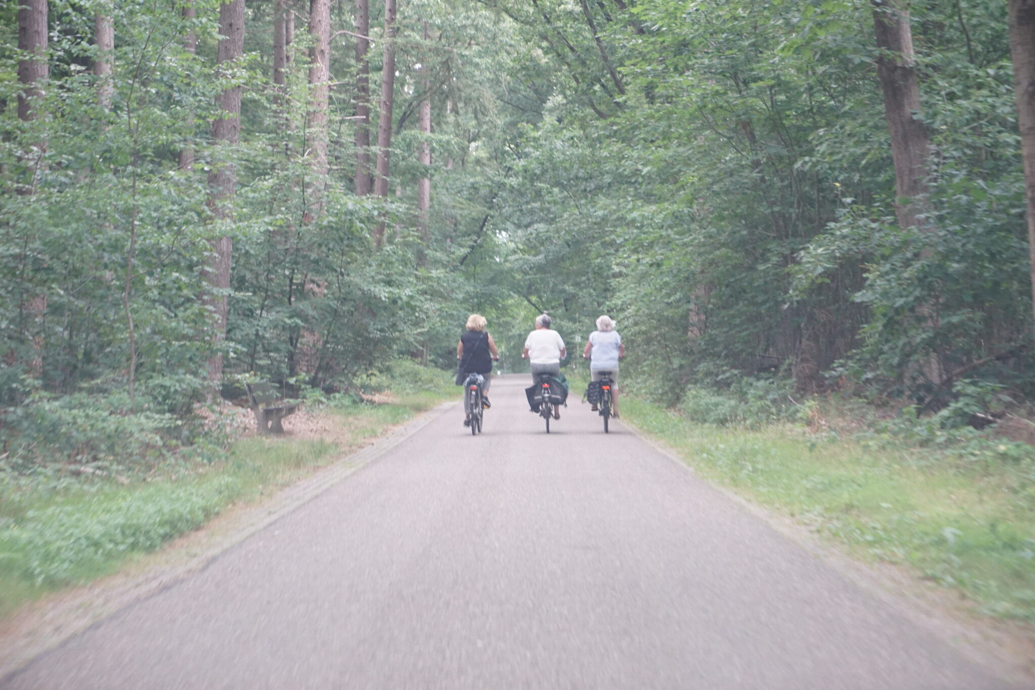 Ontdek Uddel | Uddel Natuurlijk