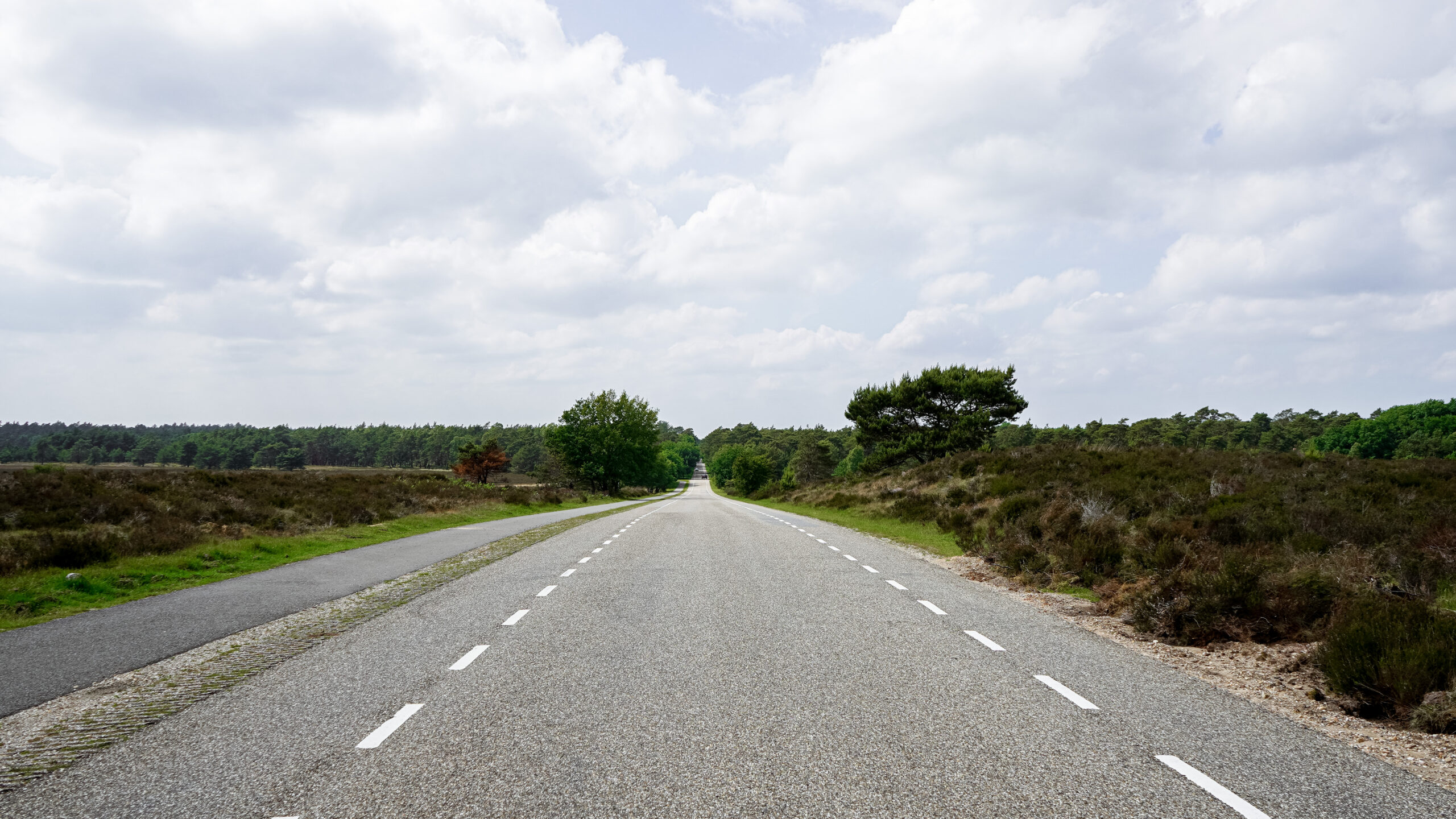 Ontdek Uddel | Uddel Natuurlijk