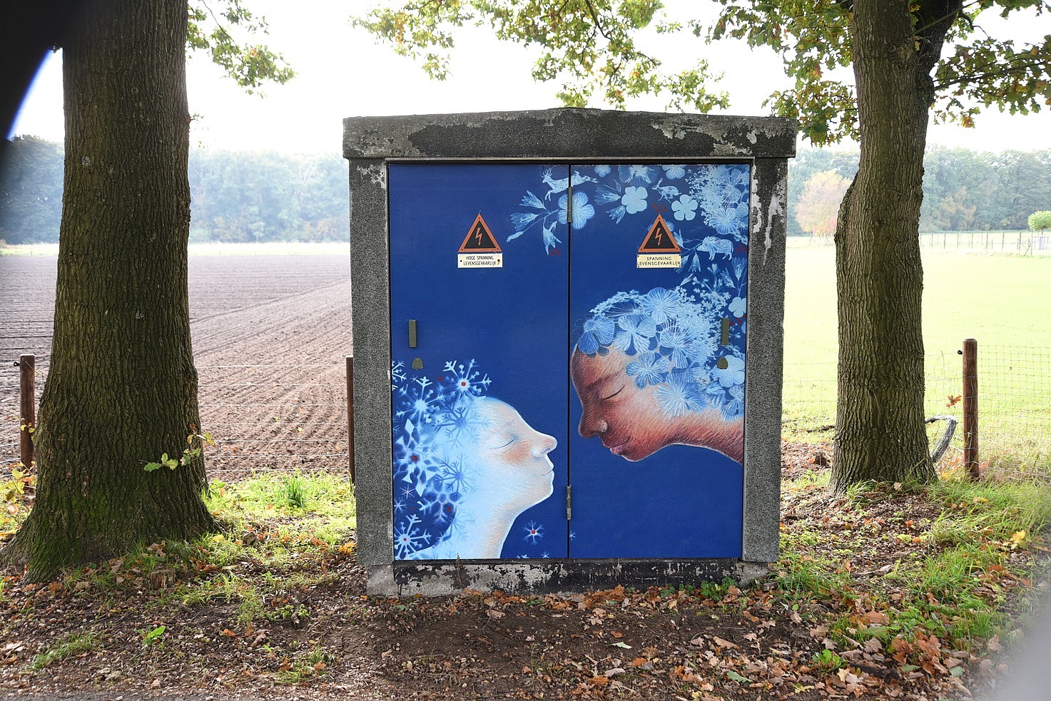 Van stroomkast tot kunstwerk - Uddel Info